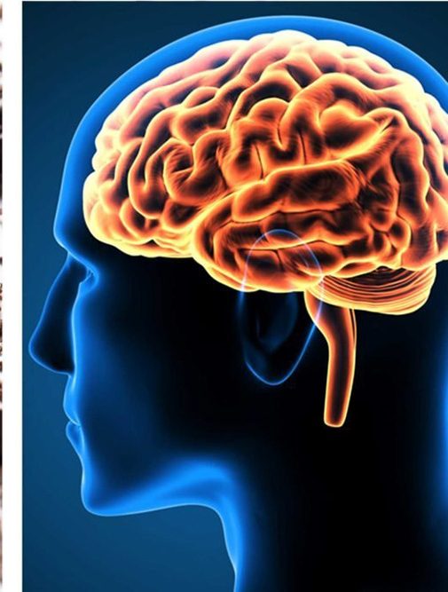 Kako da vam mozak ostane mlad - Gracija